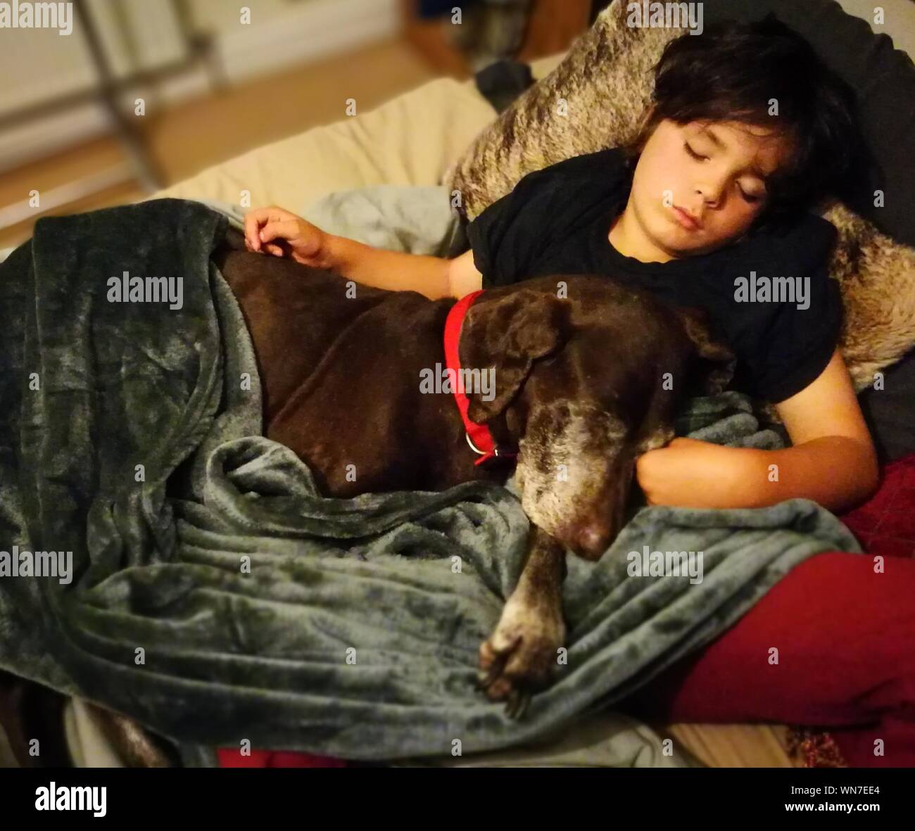 Boy sleeping bed dog hi-res stock photography and images - Alamy