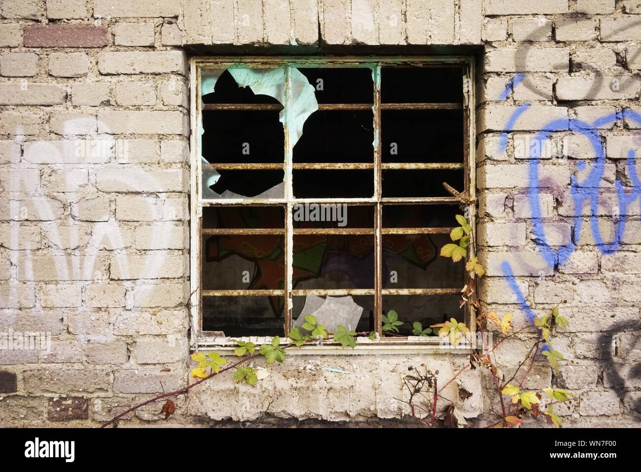 Day exterior broken glass hi-res stock photography and images - Alamy