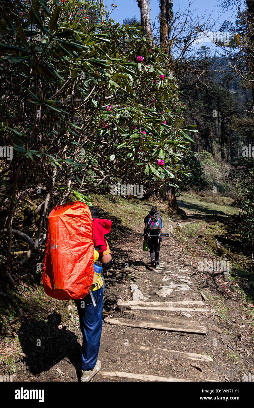 Trekkers with backpack on the Gochela trek in the Kanchenjunga mountain ...
