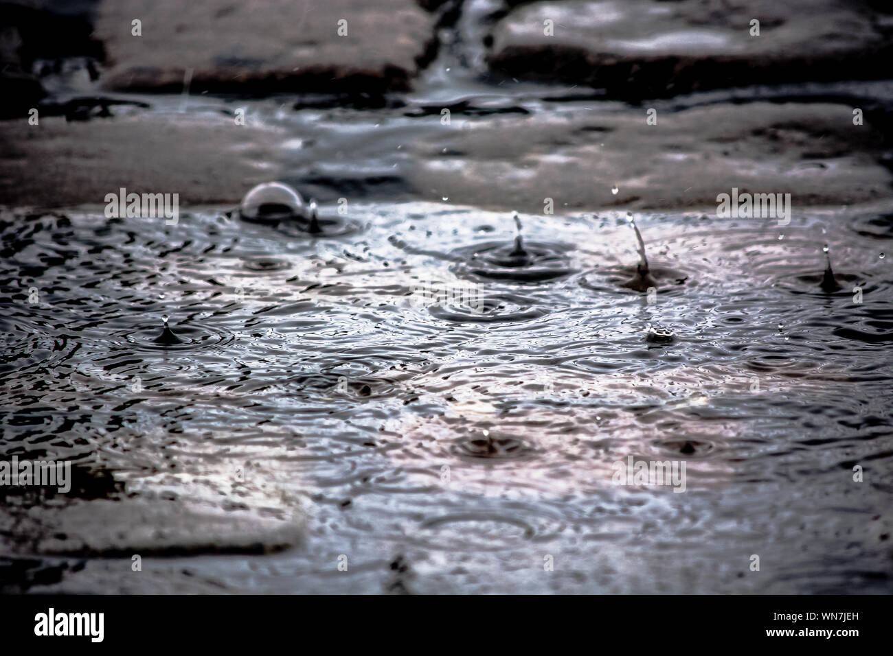 Raindrops Puddle High Resolution Stock Photography and Images - Alamy