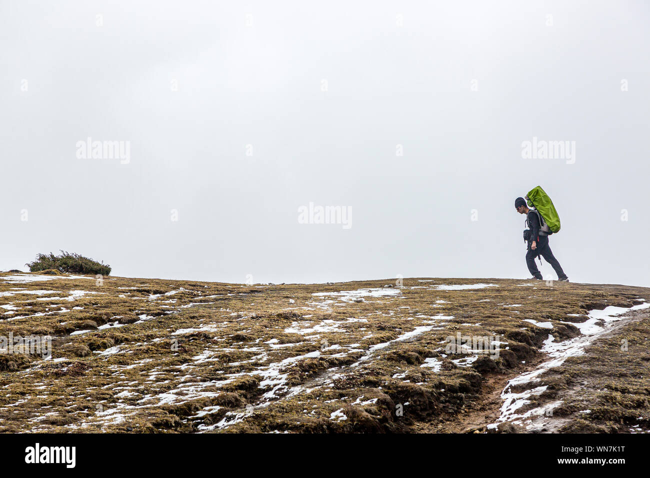 A trekker with backpack climbs a hill on the Gochela trek in the ...