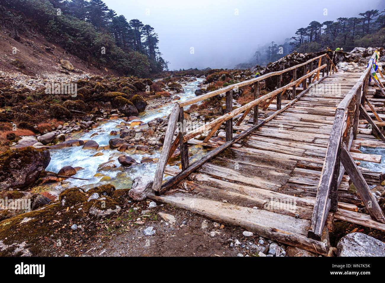 A wooden bridge across a stream on the Gochela trek in the Kanchenjunga ...