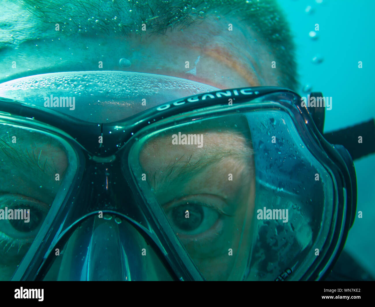 Scuba diver looking up hi-res stock photography and images - Alamy