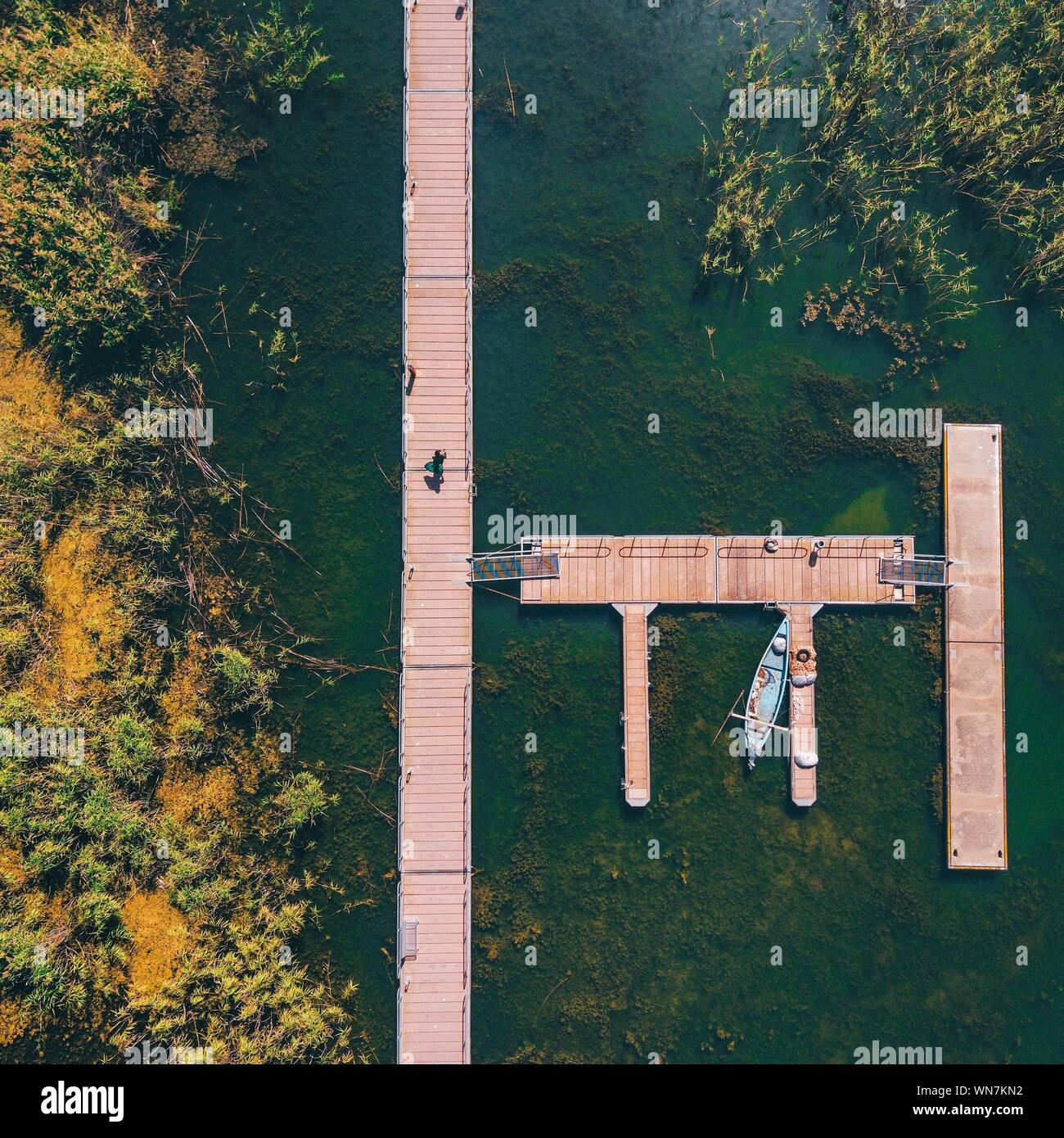 Aerial View Of Jetty Over Lake Amidst Trees Stock Photo - Alamy