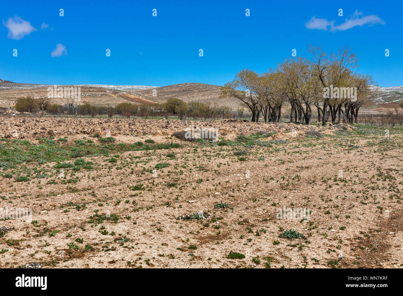 Iranian farm hi-res stock photography and images - Alamy