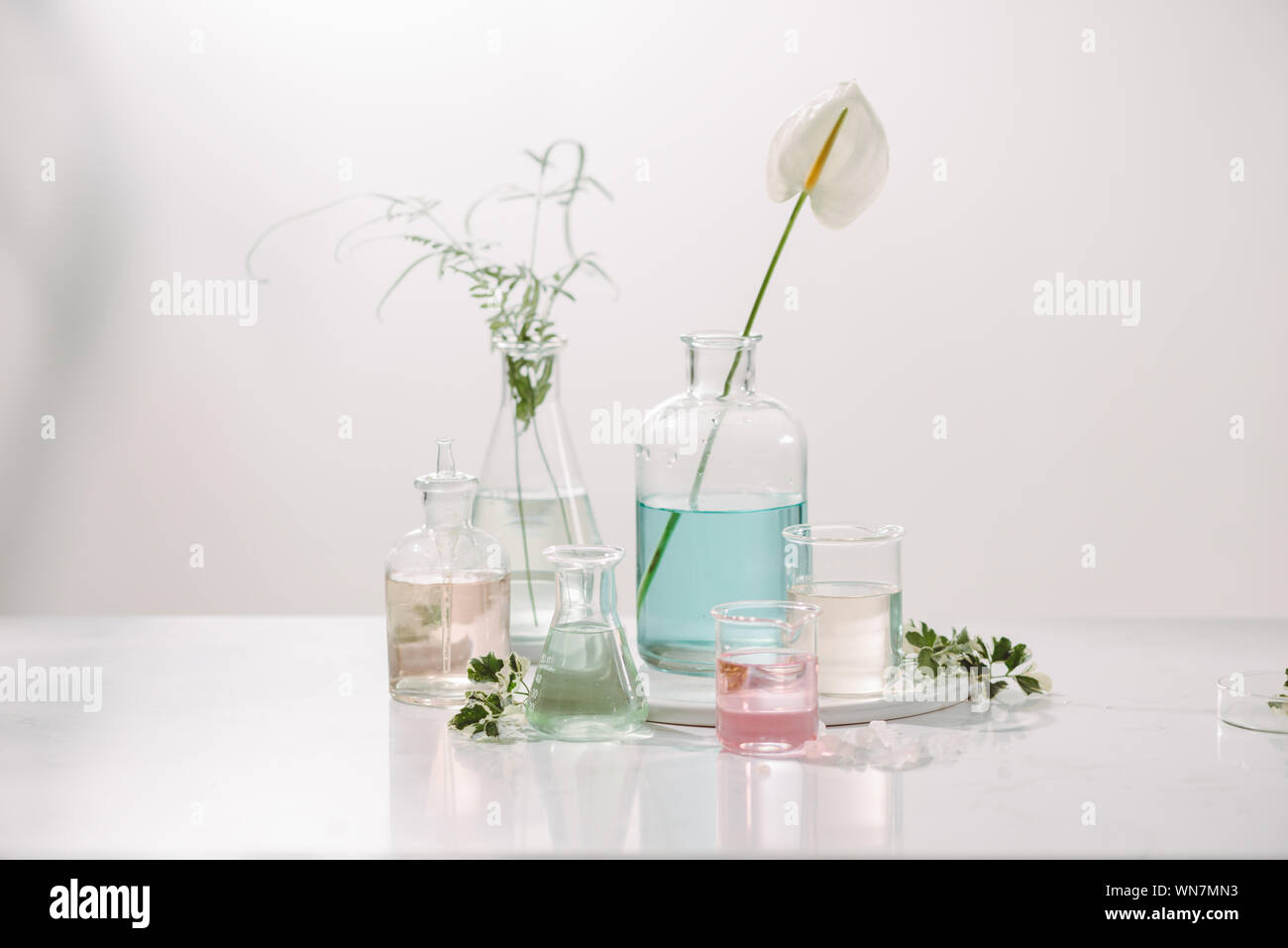 Laboratory experiment and research with leaf,oil and ingredient extract ...