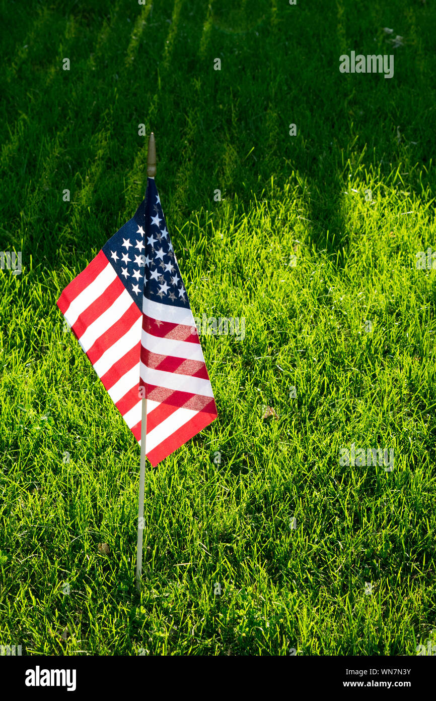 American flag star field hi-res stock photography and images - Alamy