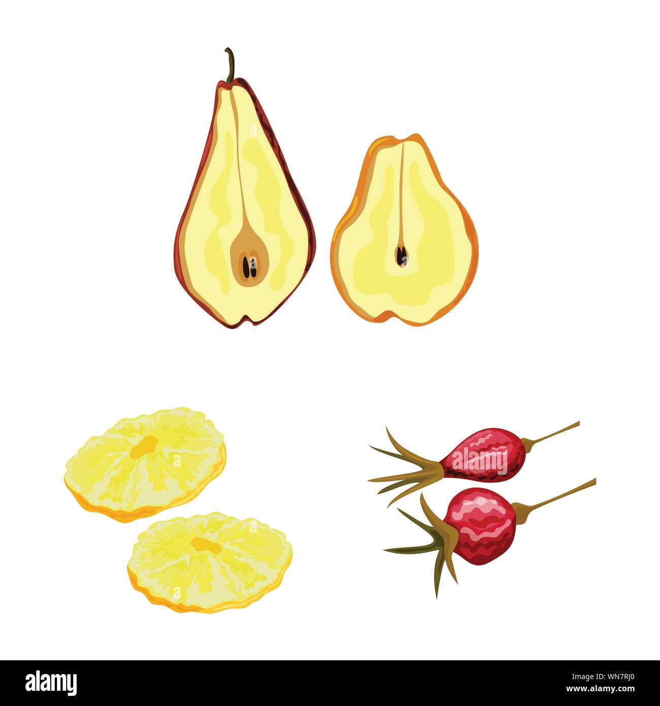 Vector design of fruit and dried sign. Collection of fruit and food ...