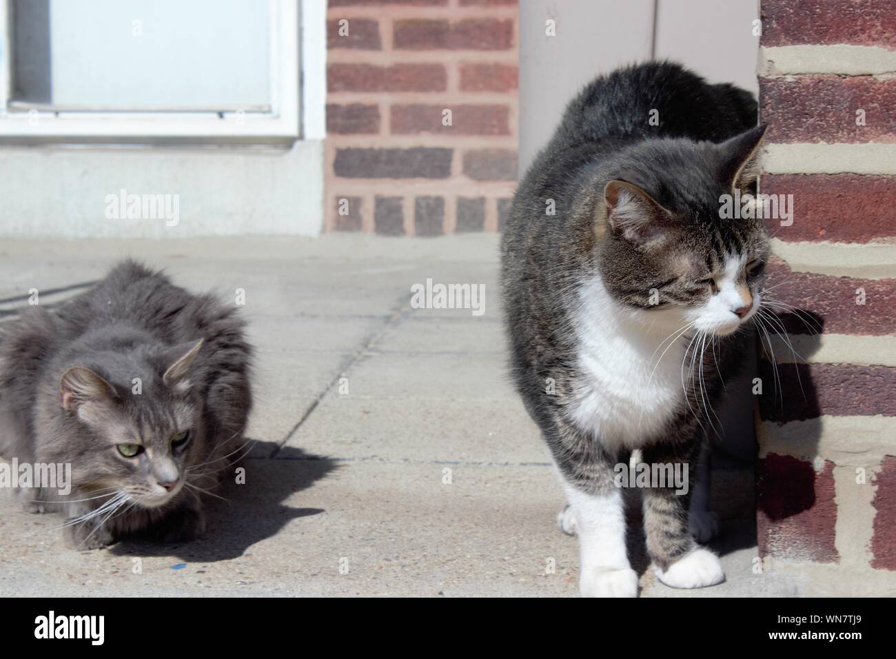 Sitting on stoop hi-res stock photography and images - Alamy