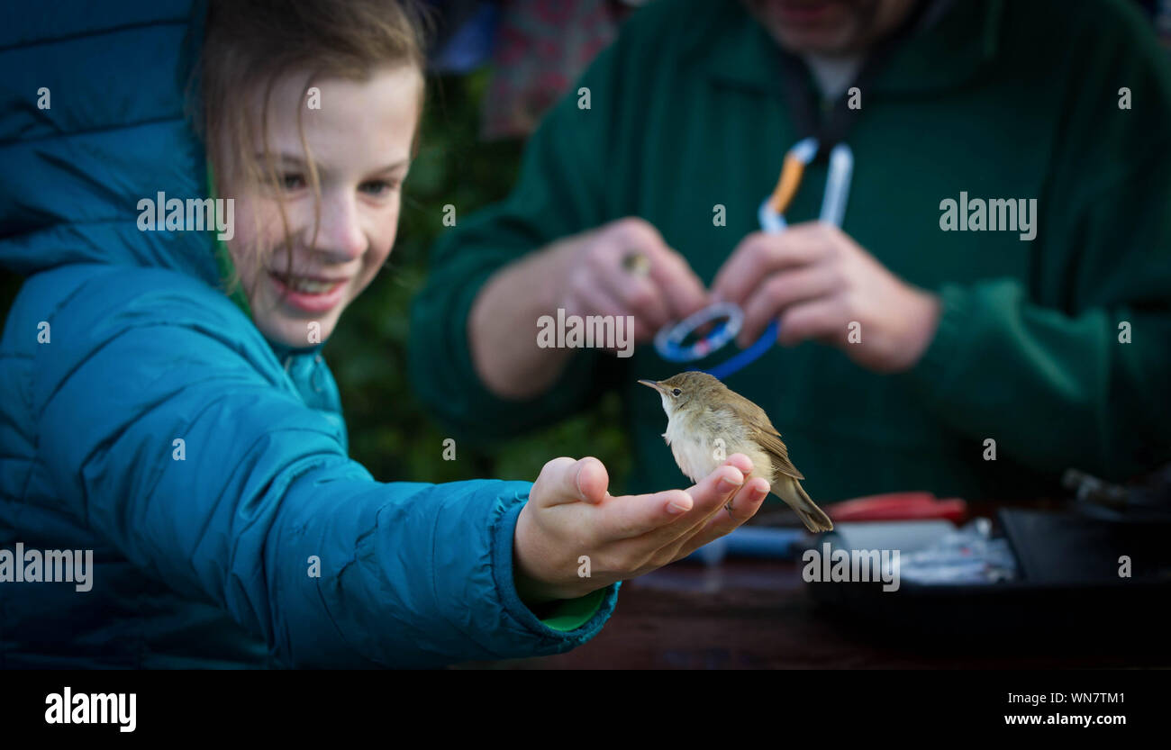 Girl bird hi-res stock photography and images - Alamy