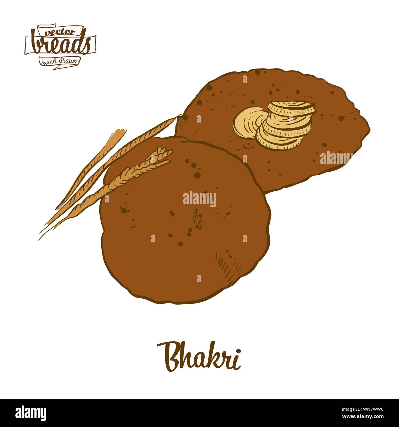 Colored drawing of Bhakri bread. Vector illustration of Flatbread food ...