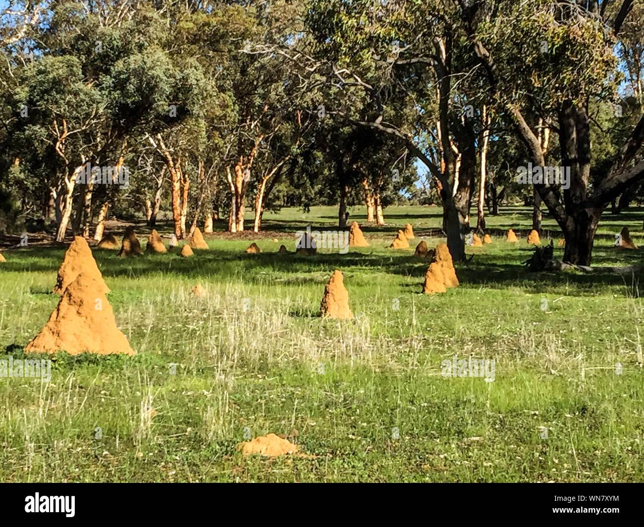 Soil mounds hi-res stock photography and images - Alamy