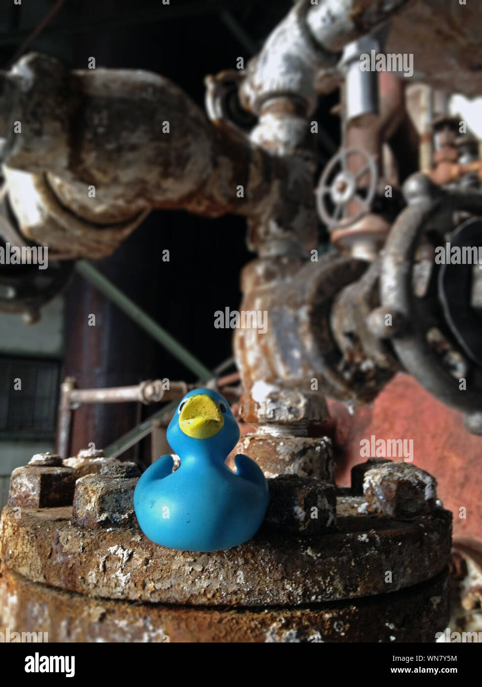 Duck factory hi-res stock photography and images - Alamy