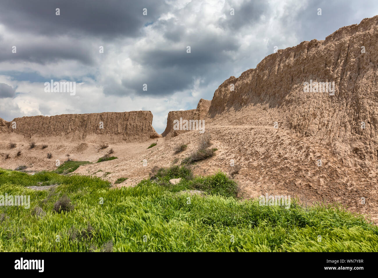 Ruins of ancient city of Tus, Khorasan Razavi Province, Iran Stock ...