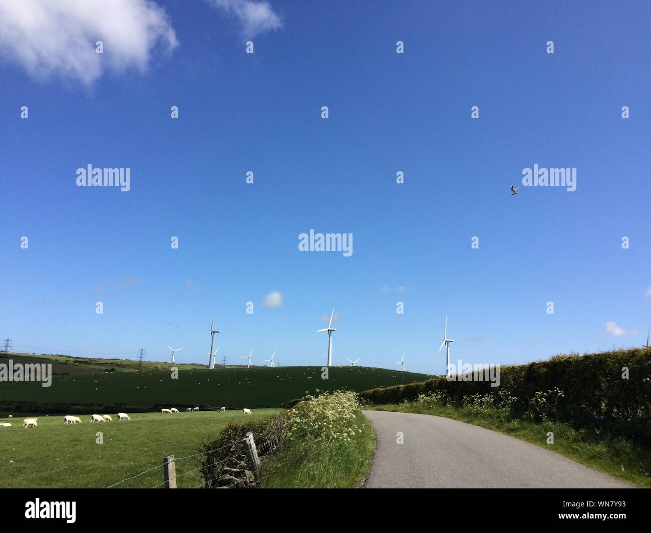 Wind turbines hills hi-res stock photography and images - Alamy