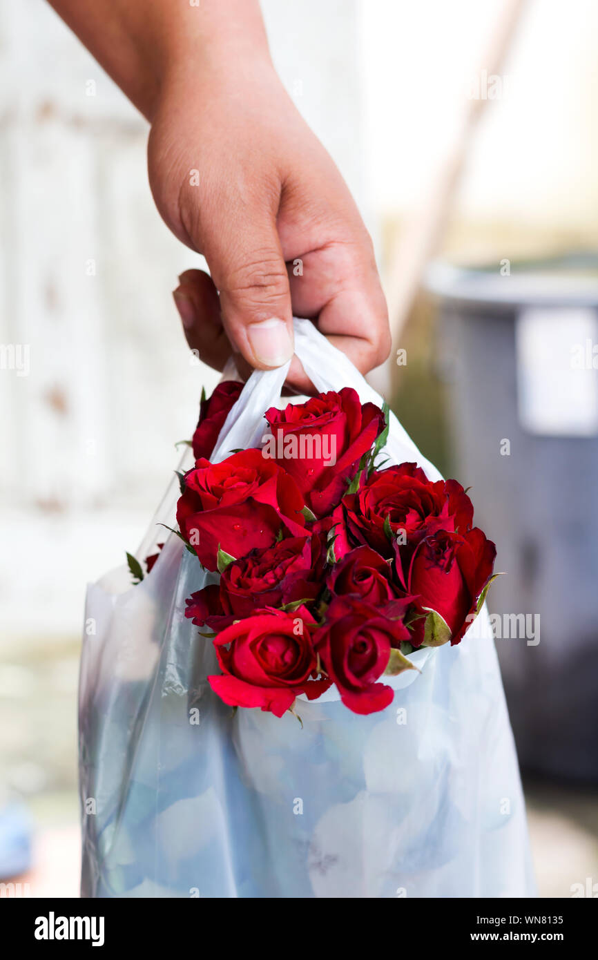 Rose color hand bag hi-res stock photography and images - Alamy