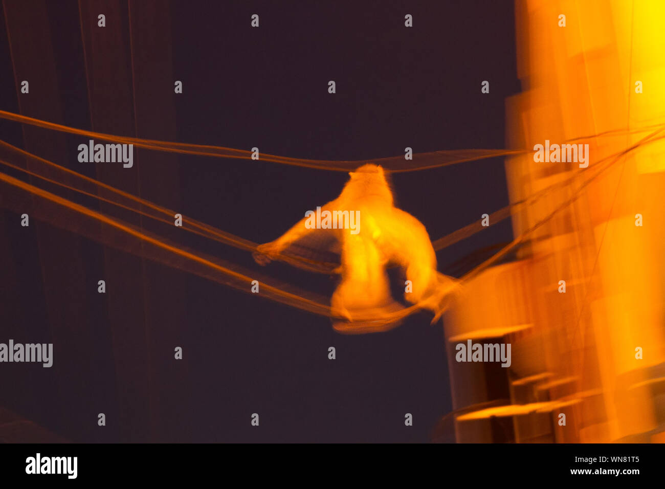 Urban fantasy, hellish stuff. Red ghost, demon dancing on wires Stock ...