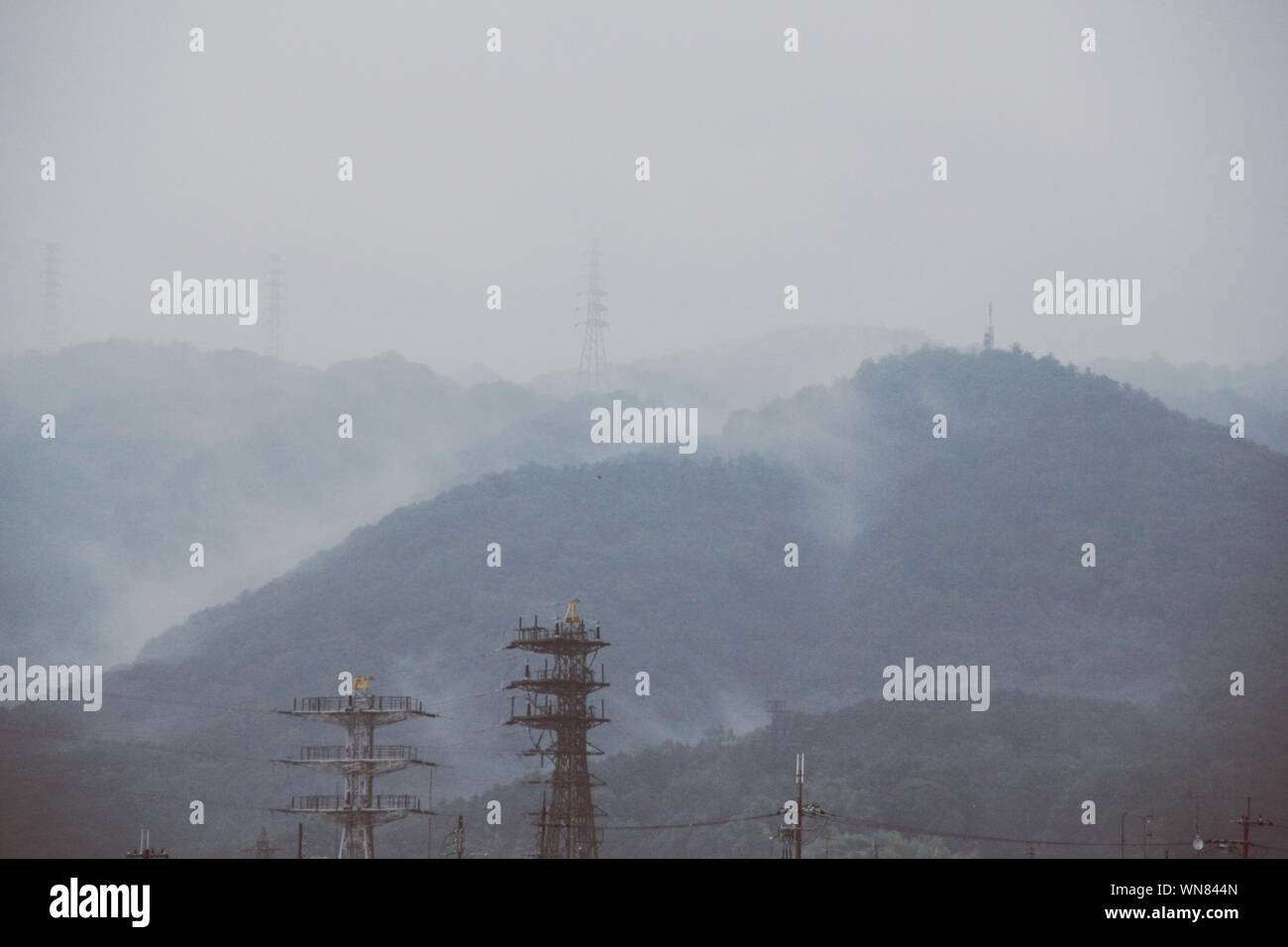 Pylon tree hi-res stock photography and images - Alamy