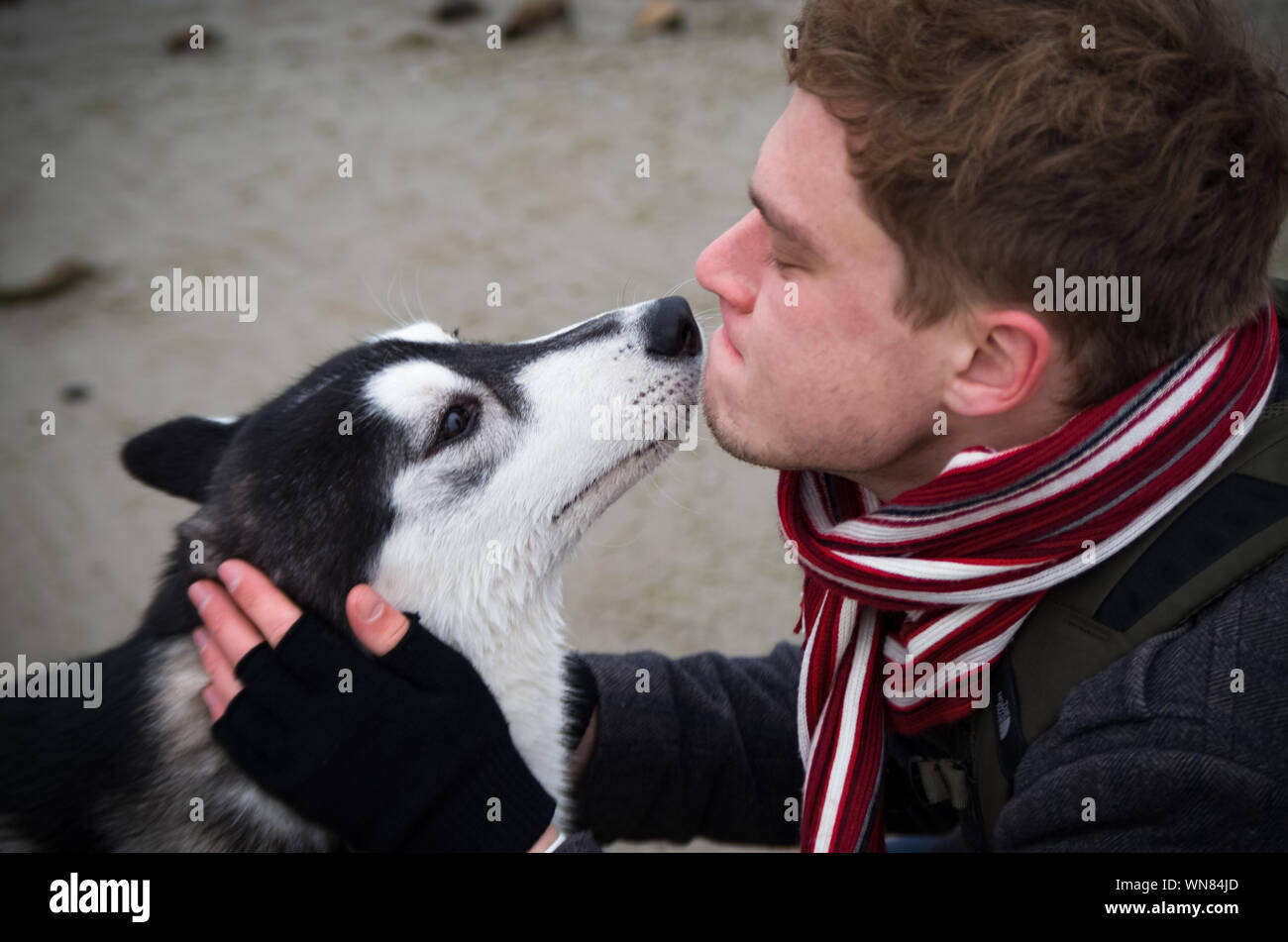 Man kissing dog outdoors hi-res stock photography and images - Alamy