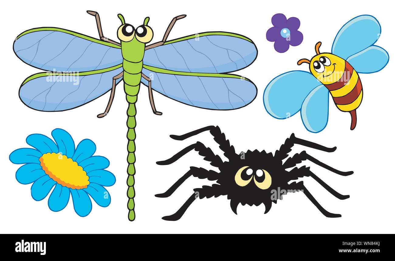 Insect details Stock Vector Images - Alamy