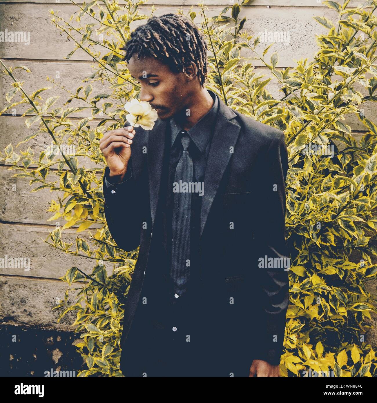 Man smelling flower hi-res stock photography and images - Alamy