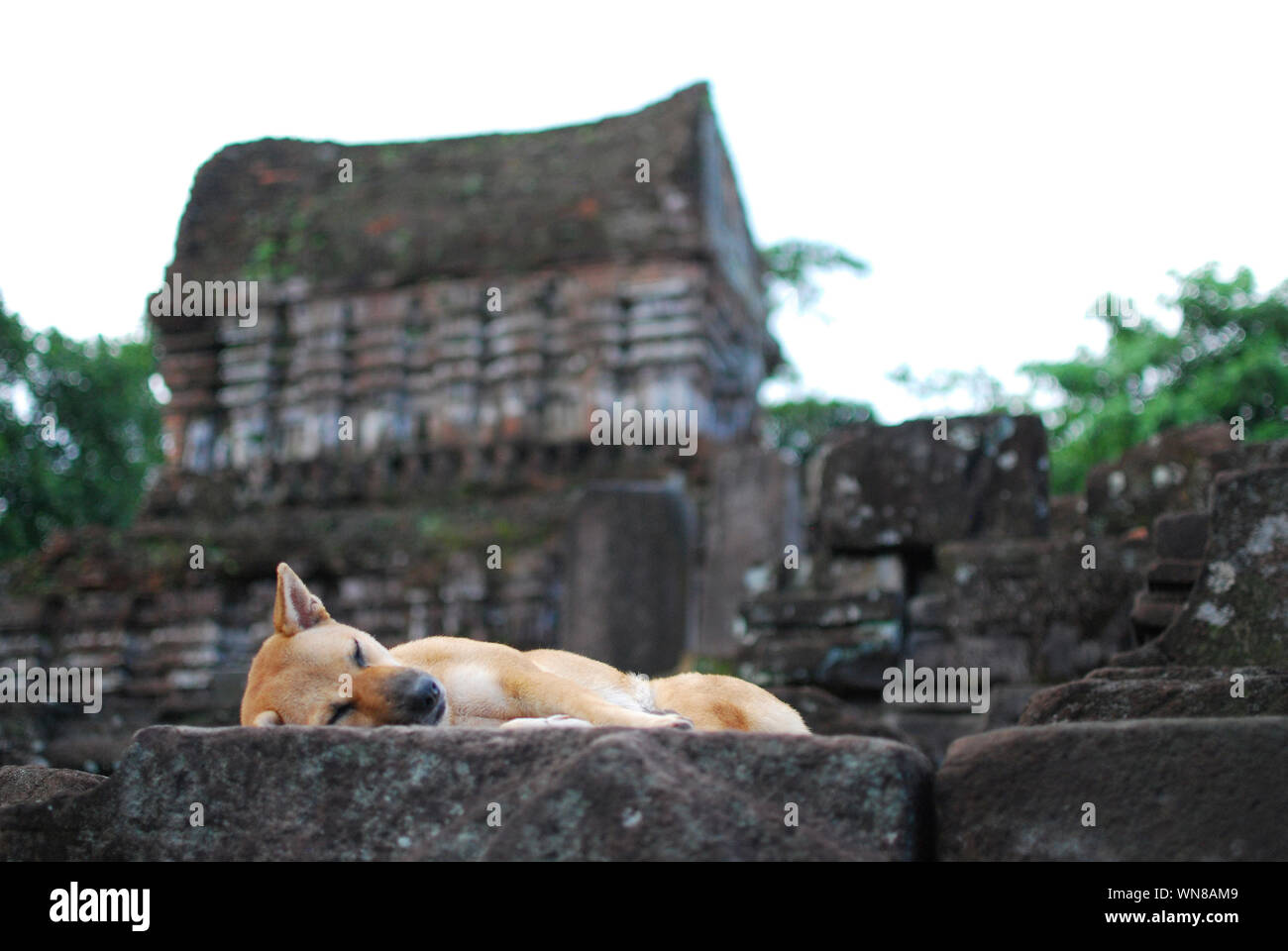 Sleeping on stone hi-res stock photography and images - Alamy