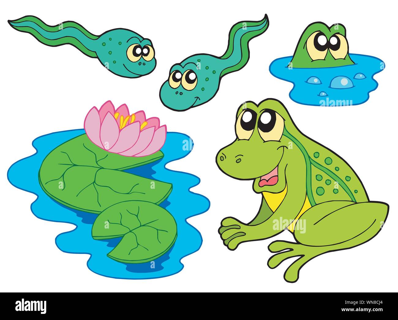 Frog flowers Cut Out Stock Images & Pictures - Alamy