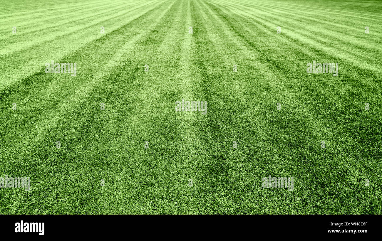 Cricket stadium background hi-res stock photography and images - Alamy