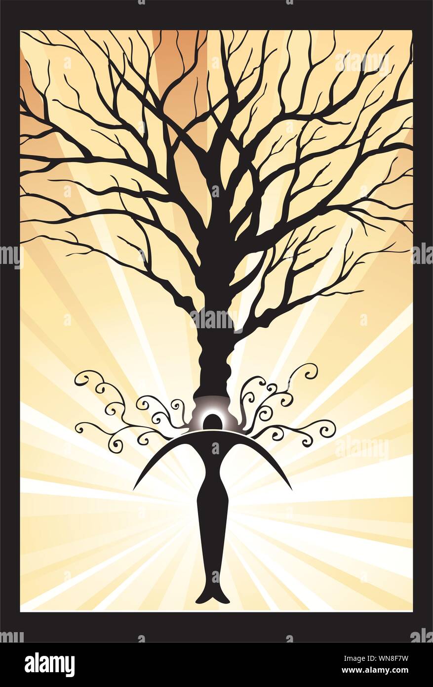 Branches of tree connecting hi-res stock photography and images - Alamy