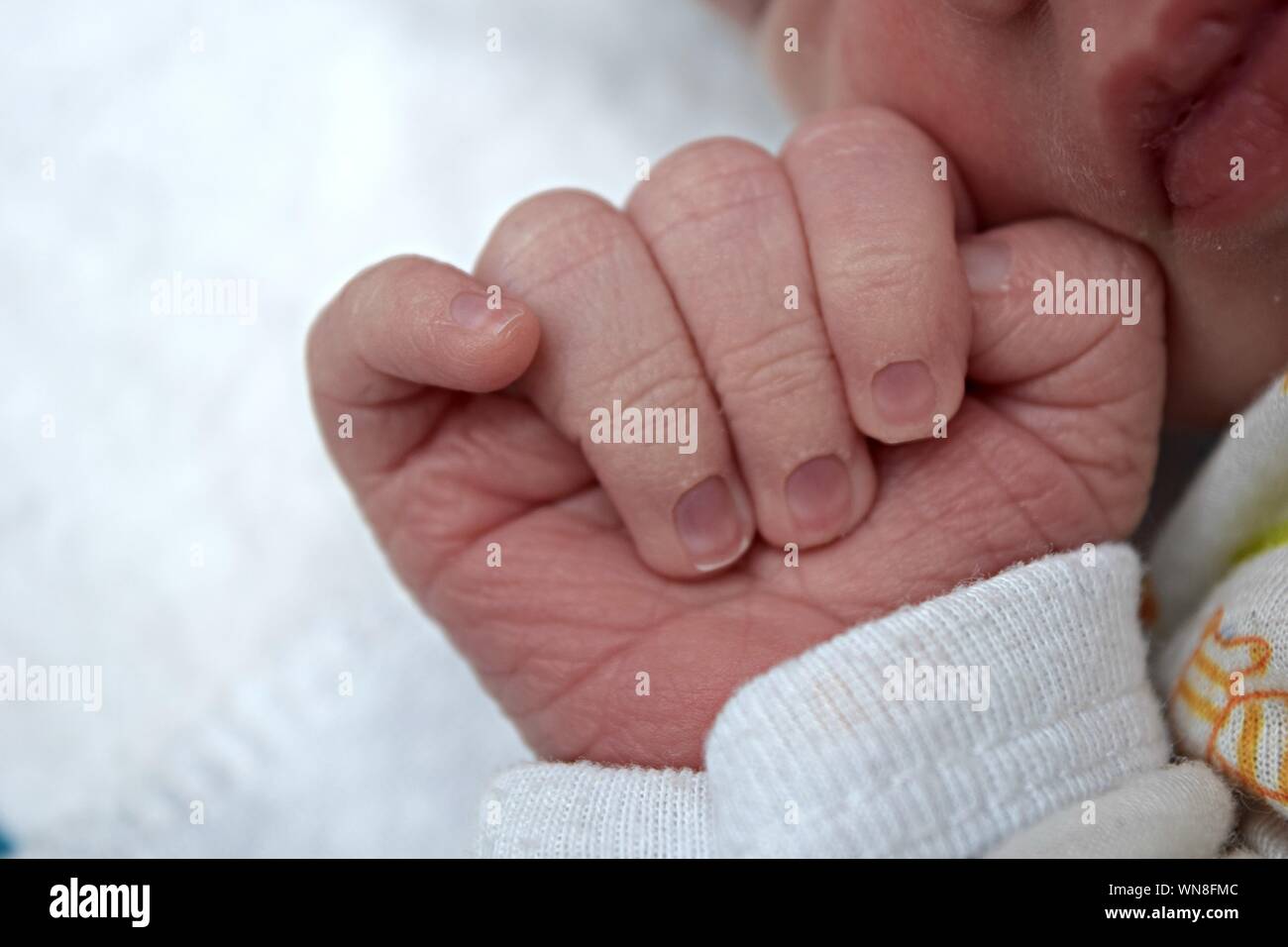 Newborn on hand hi-res stock photography and images - Alamy