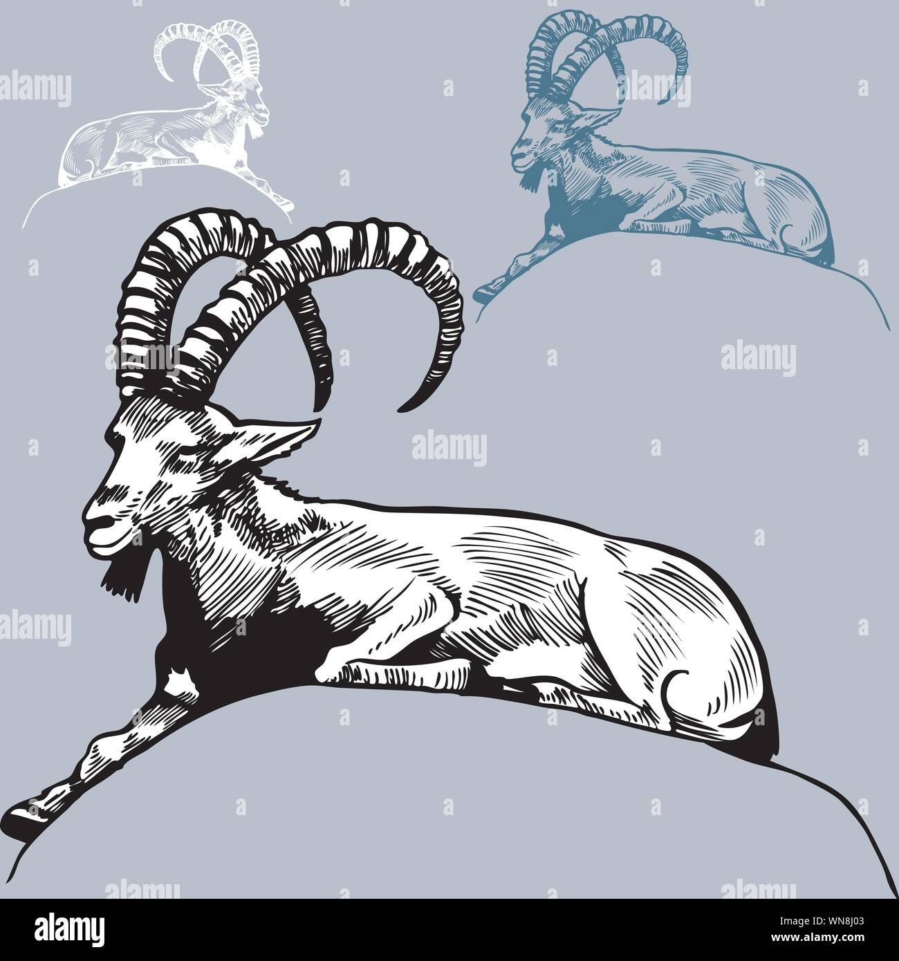 Ram profile Stock Vector Images - Alamy