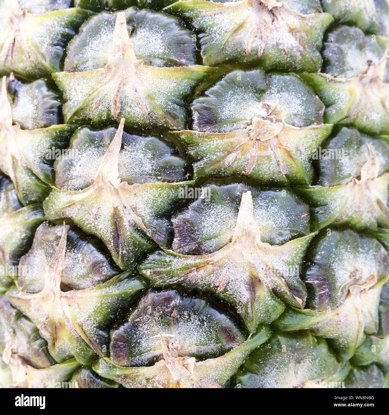 Unripe pineapple hi-res stock photography and images - Alamy