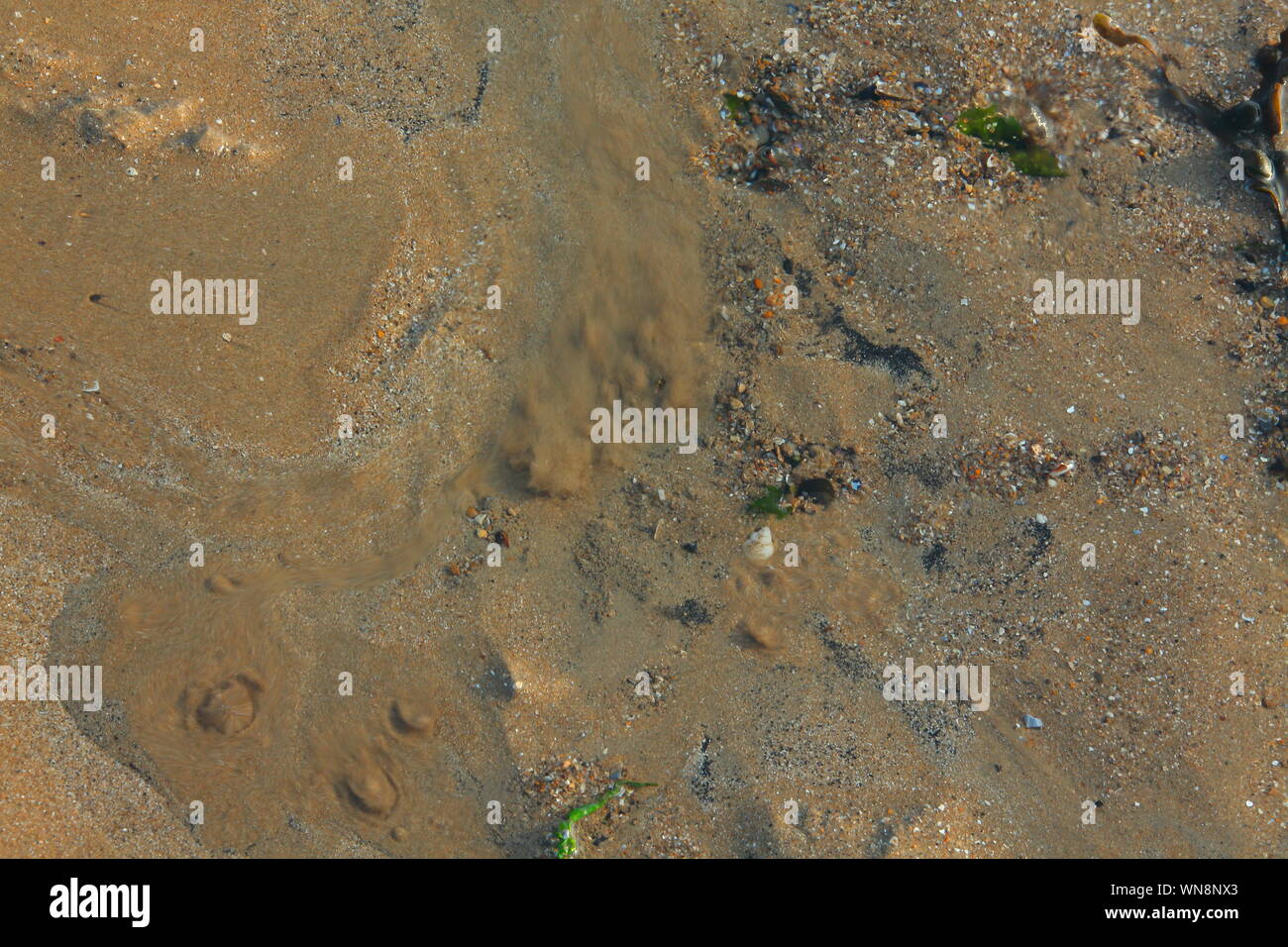 Fresh spring water pushing up to a pool on a sandy beach with the ...