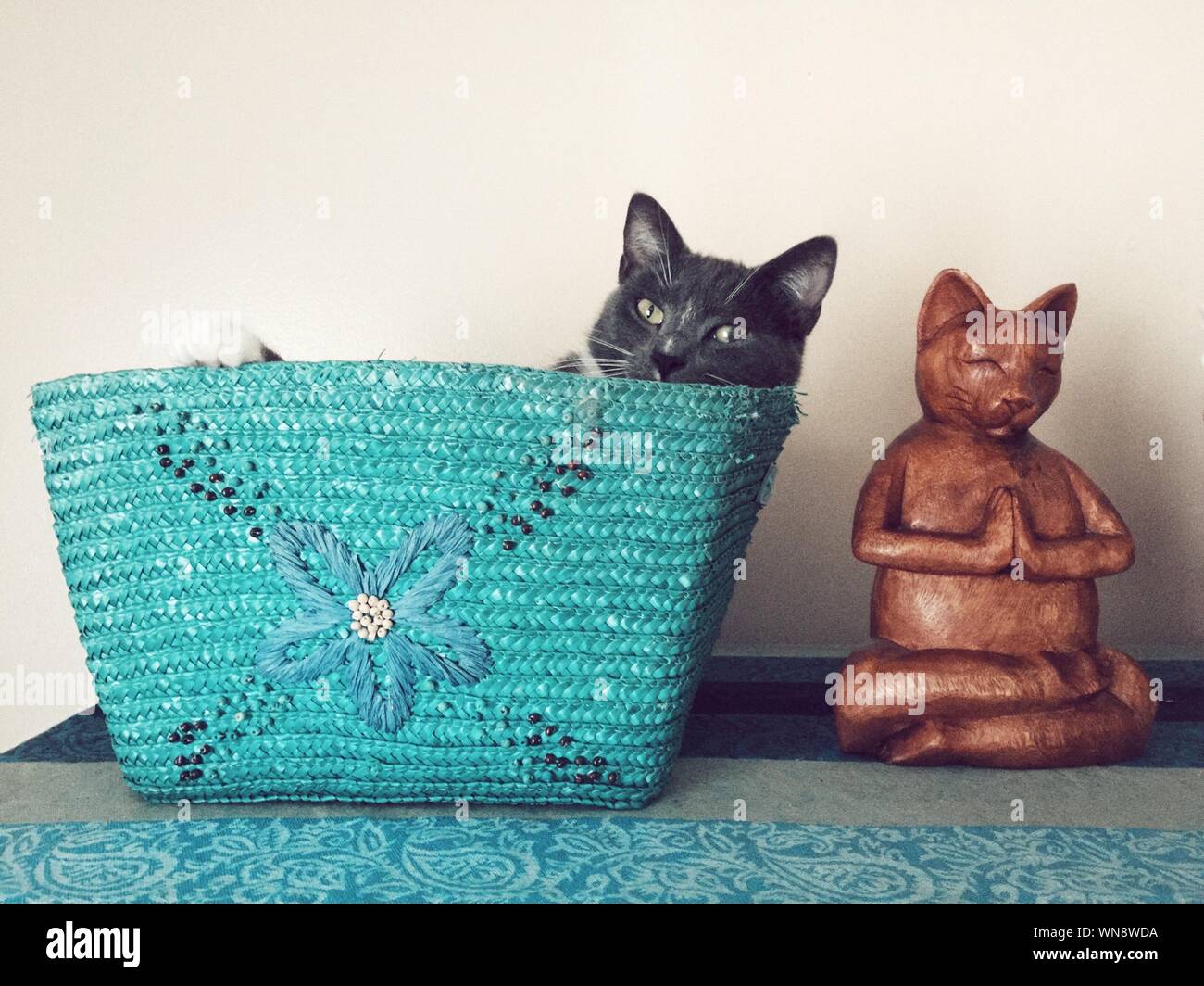 Straw cat hi-res stock photography and images - Alamy