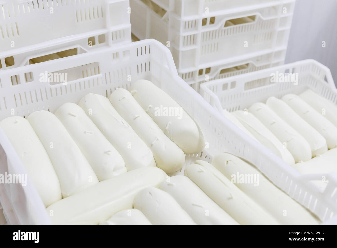 Fresh mozzarella heads kept in a storage boxes in a refrigerator on a ...