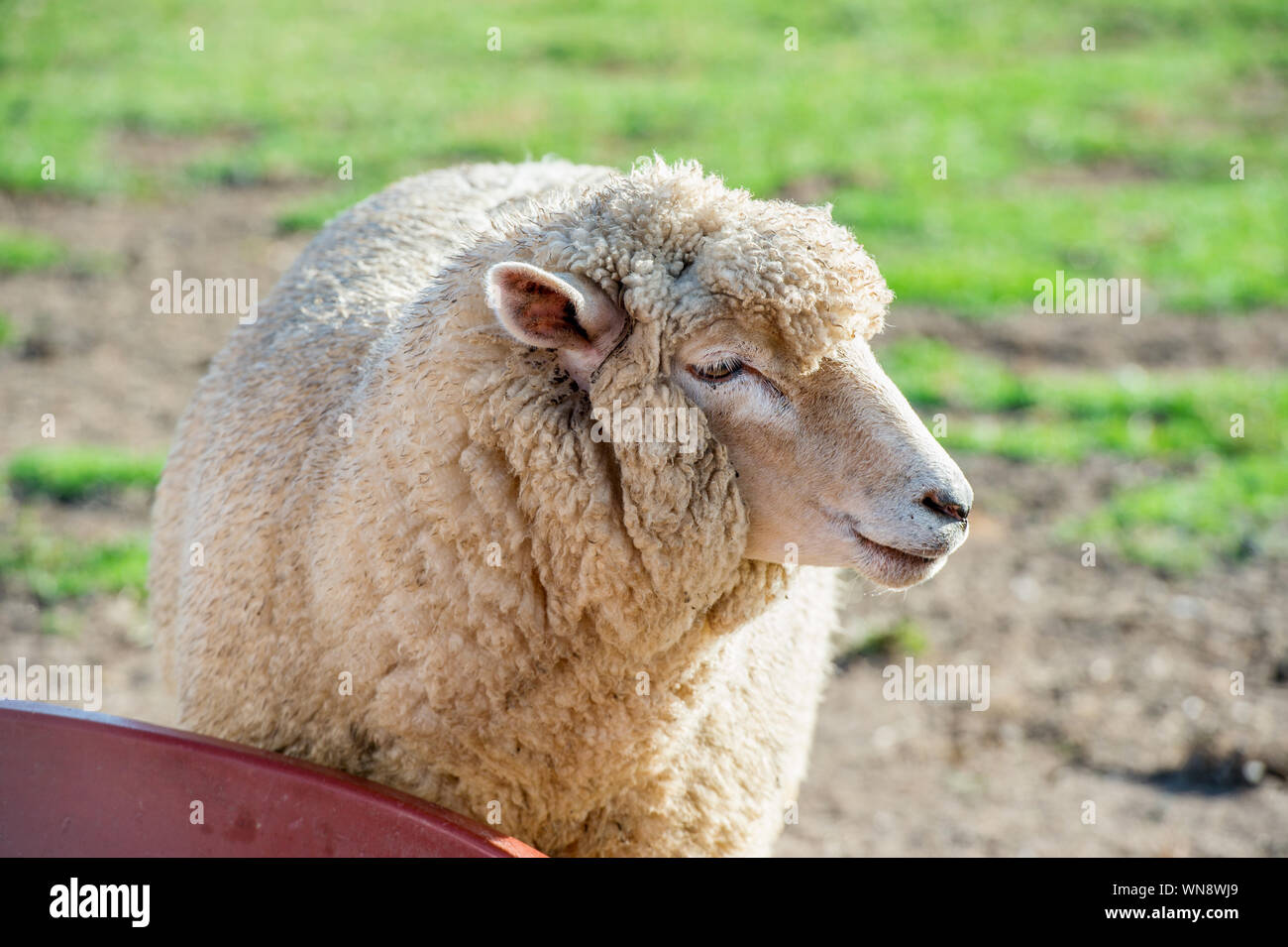 Farm container hi-res stock photography and images - Alamy