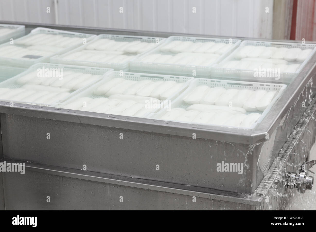 Cooling water bath for mozzarella cheese on a production factory as ...
