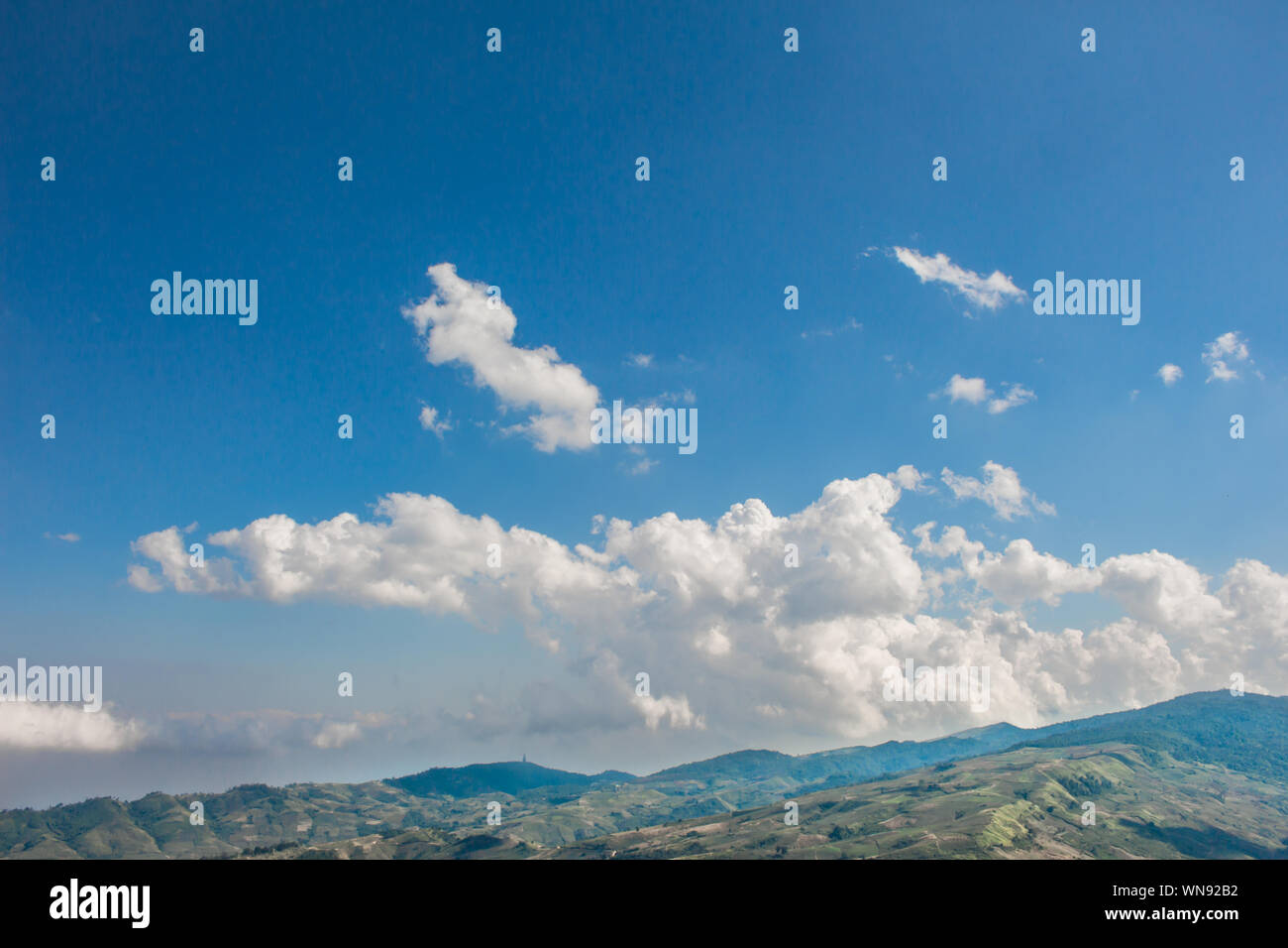 Landscape in the daytime with the sunlight in the summer Stock Photo ...