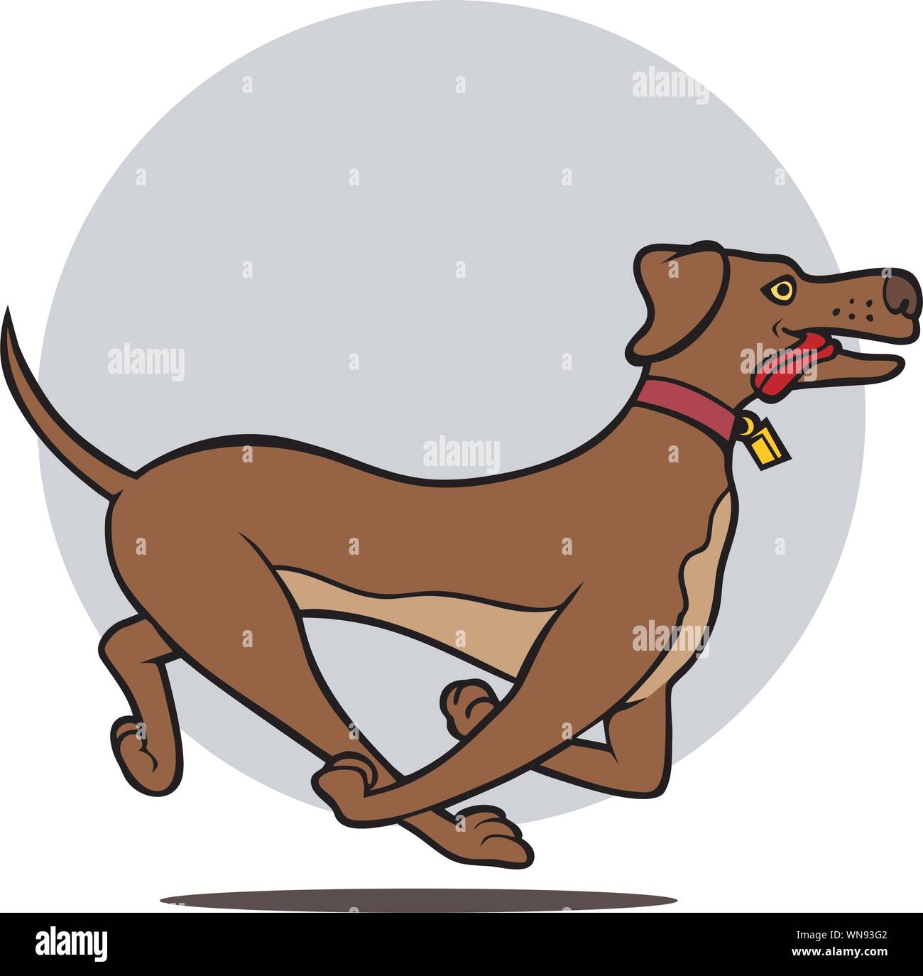 Cartoon labrador dog running isolated Stock Vector Images - Alamy
