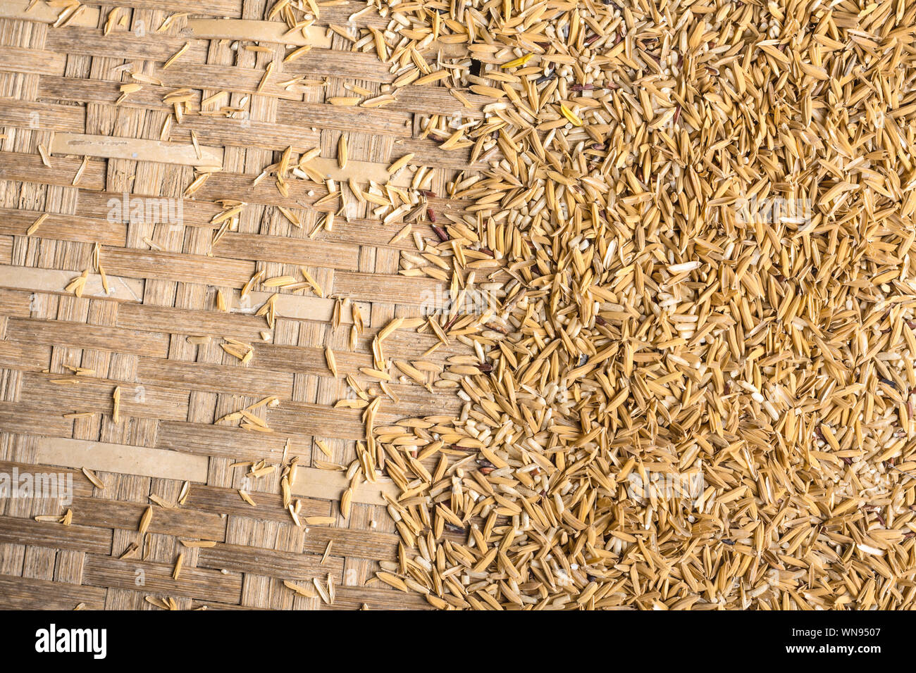 Background of paddy drying of the farmer in Thailand Stock Photo - Alamy