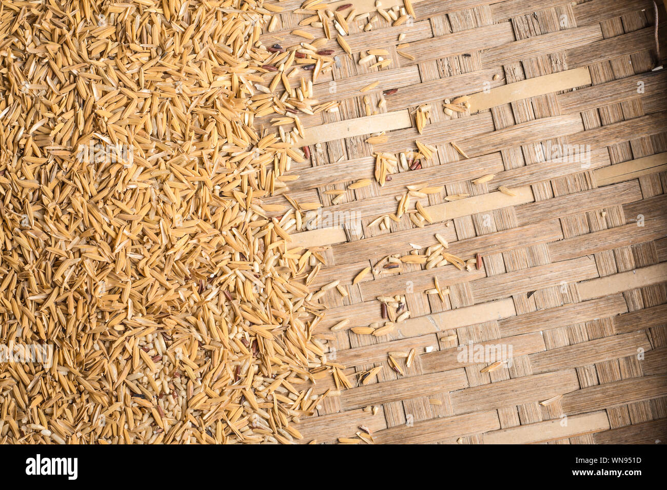 Background of paddy drying of the farmer in Thailand Stock Photo - Alamy