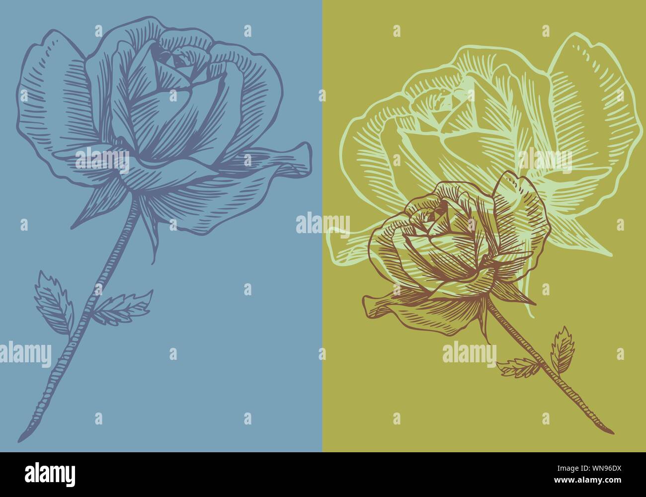 Hand Drawn Rose Stock Vector Image & Art - Alamy
