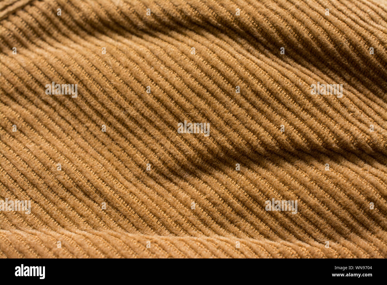 Velvet pant texture, cotton fabric. Pocket and rivet. Textile ...