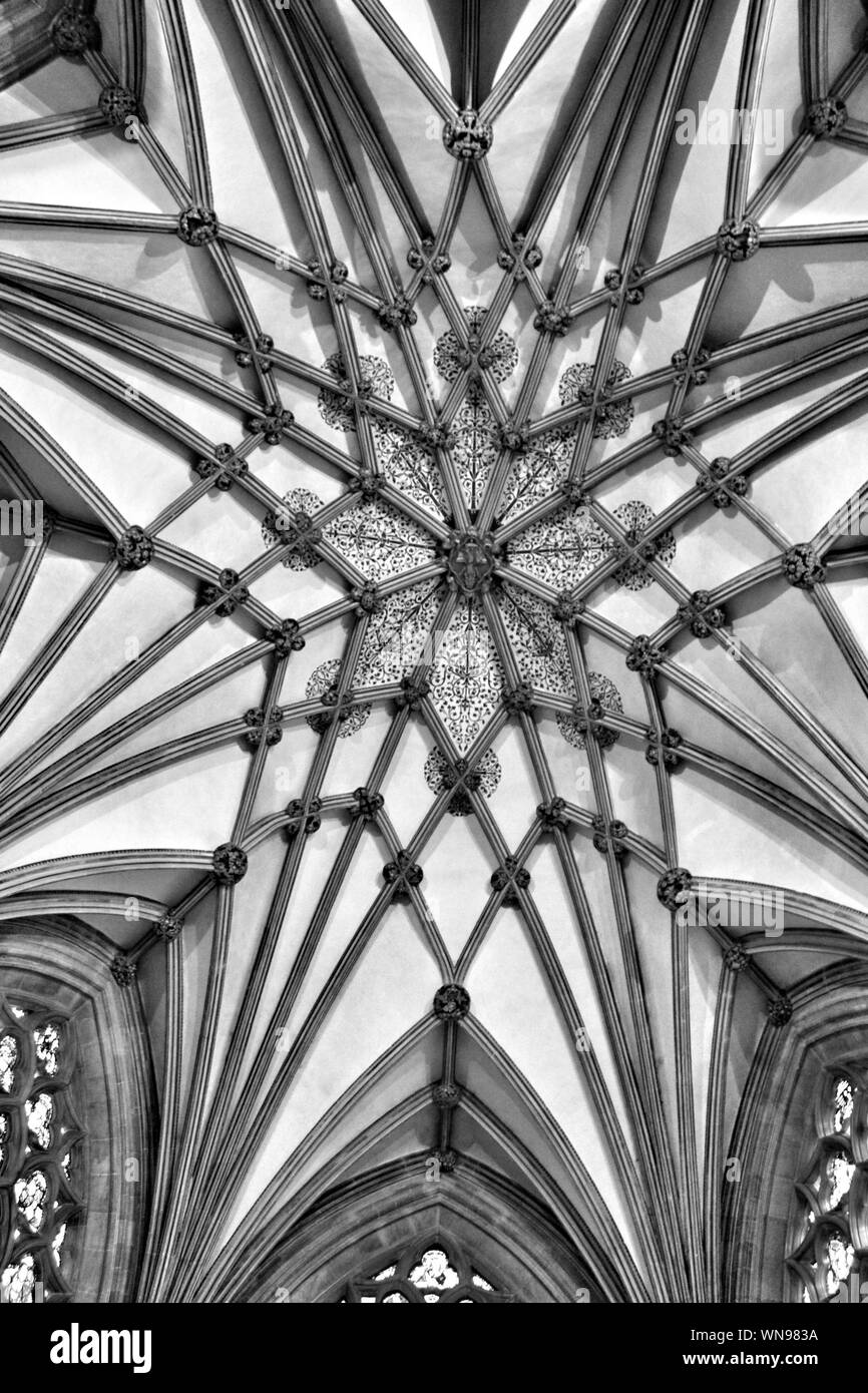 Ribbed Ceiling Vault High Resolution Stock Photography and Images - Alamy
