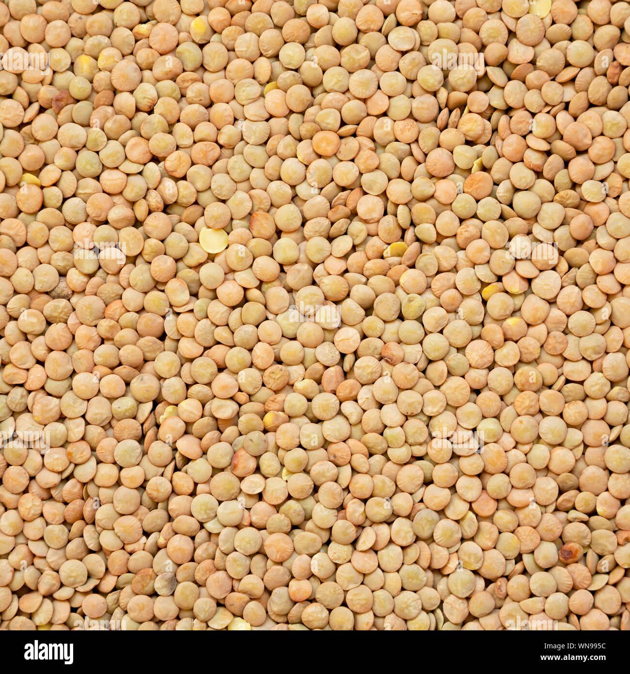 Lentils texture hi-res stock photography and images - Alamy