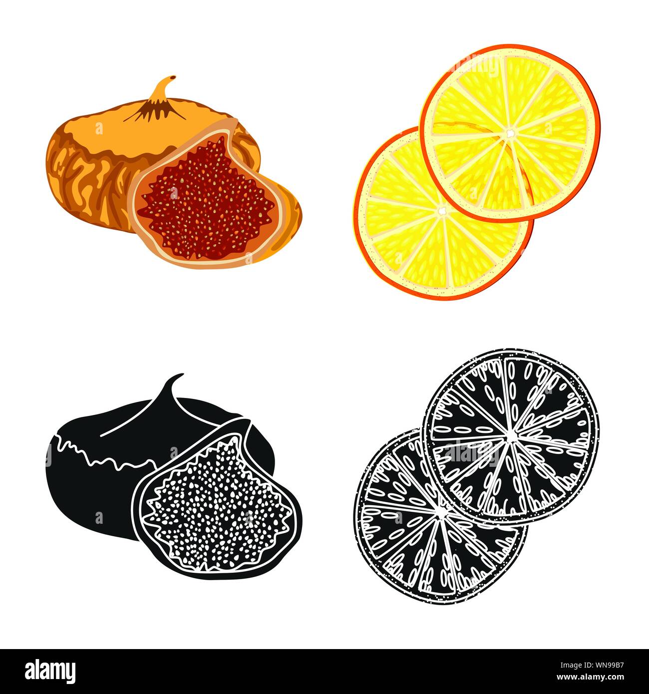 Vector illustration of food and raw symbol. Set of food and nature ...