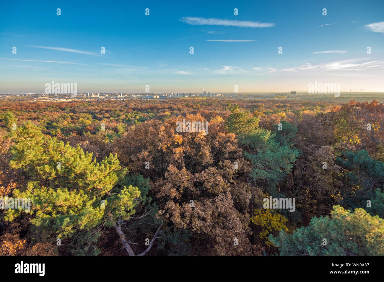 Panorama mixed forest hi-res stock photography and images - Alamy