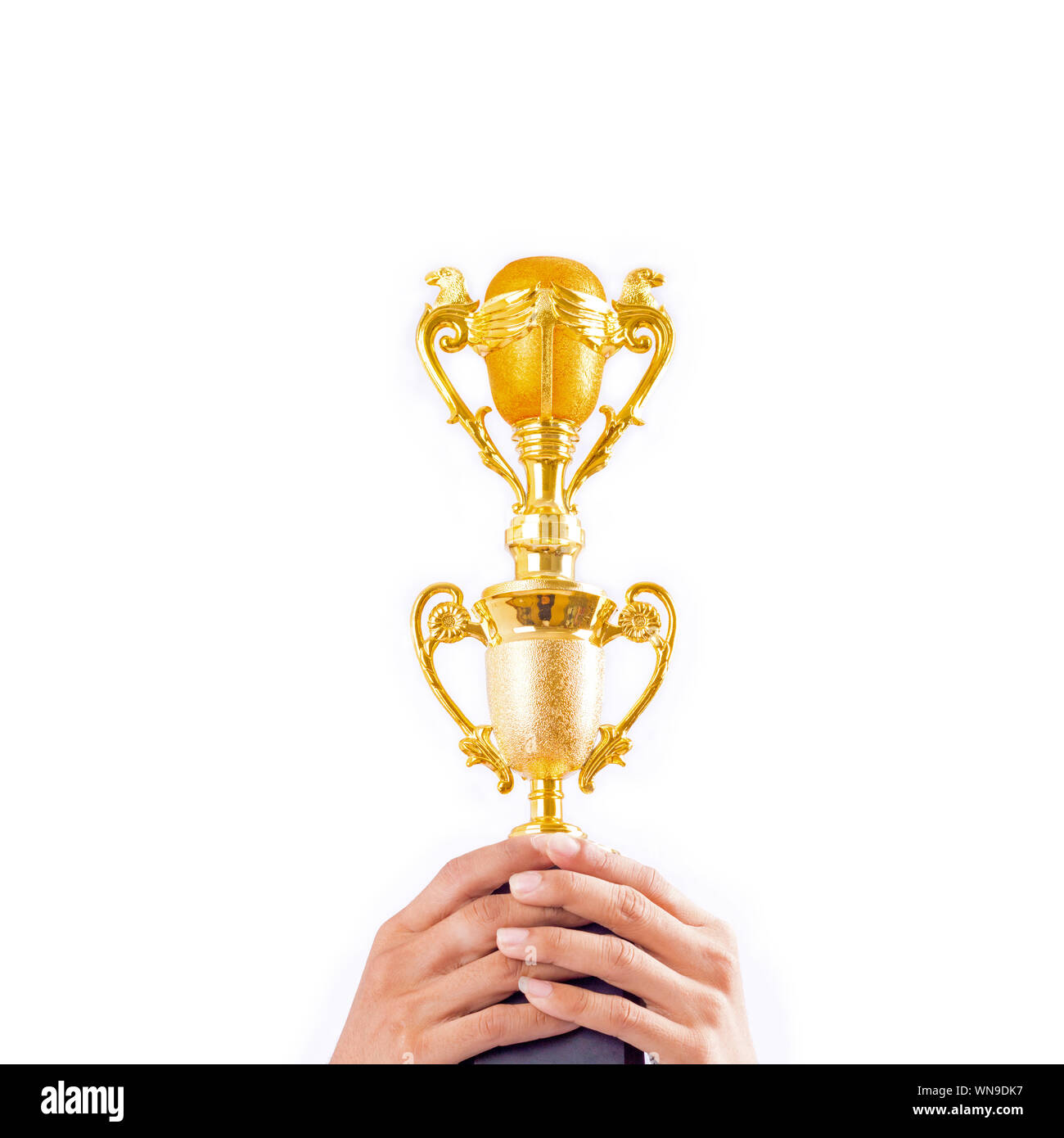 Hand holding up gold trophy hi-res stock photography and images - Alamy