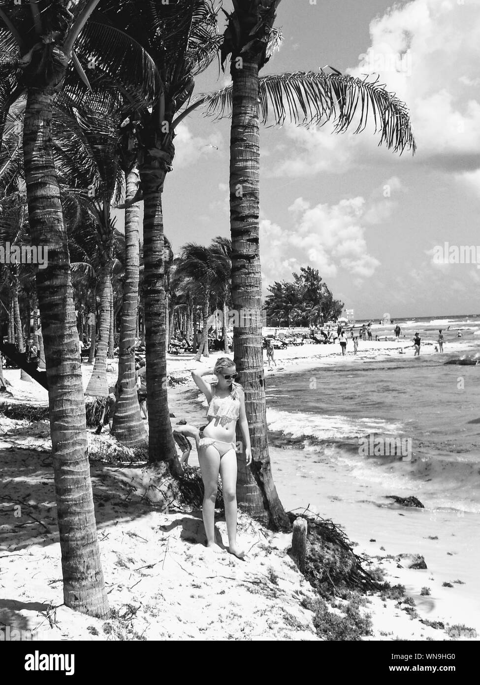Palm tree woman bikini Black and White Stock Photos & Images - Alamy