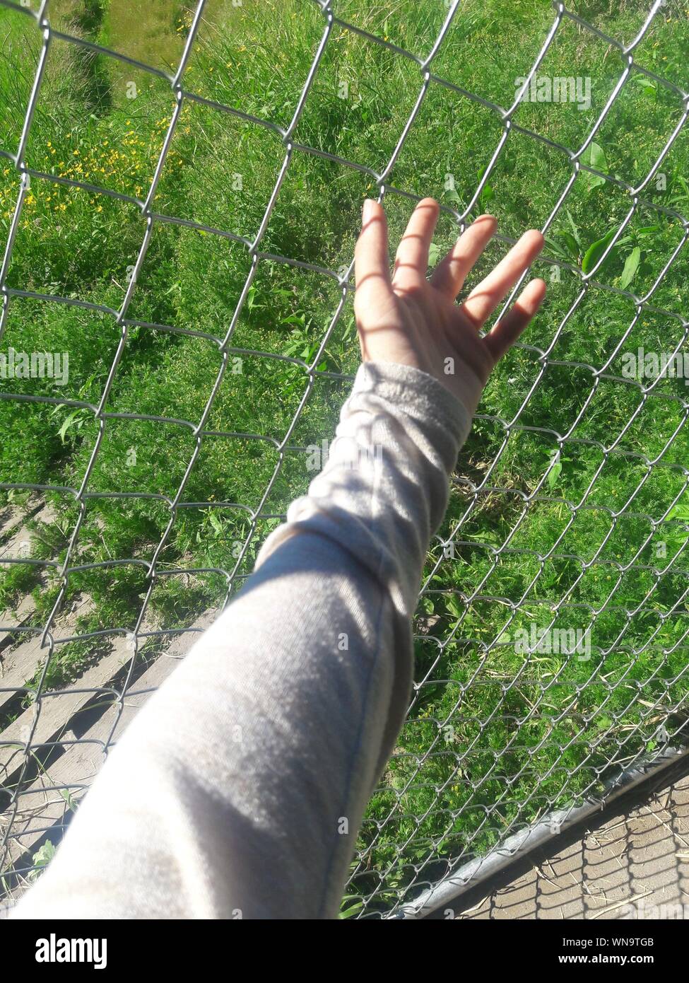 Hand fence chainlink fence hi-res stock photography and images - Alamy